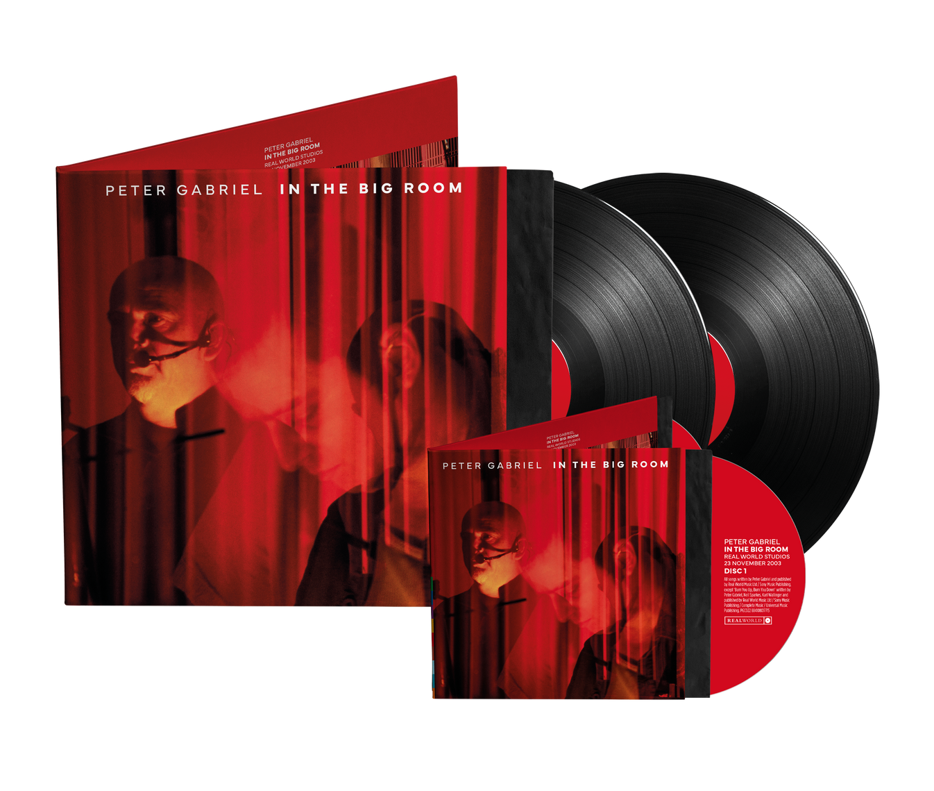 In The Big Room - PREORDER – Real World Store