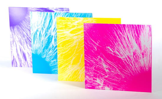 i/o Box Set – Real World Store