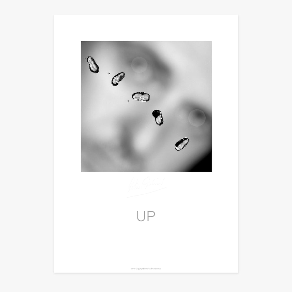 Up - Poster – Real World Store