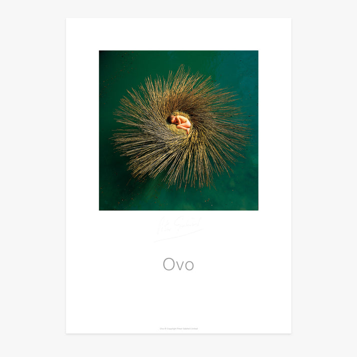 OVO - Poster – Real World Store